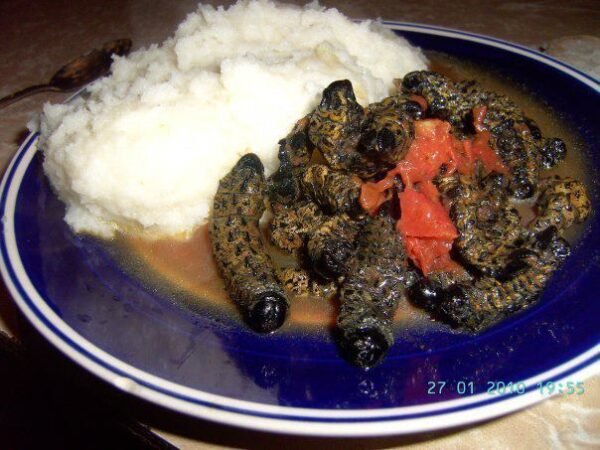 Africa’s Culinary Journey – Enjoy the Mopane Worms/Madora delicacy from ...